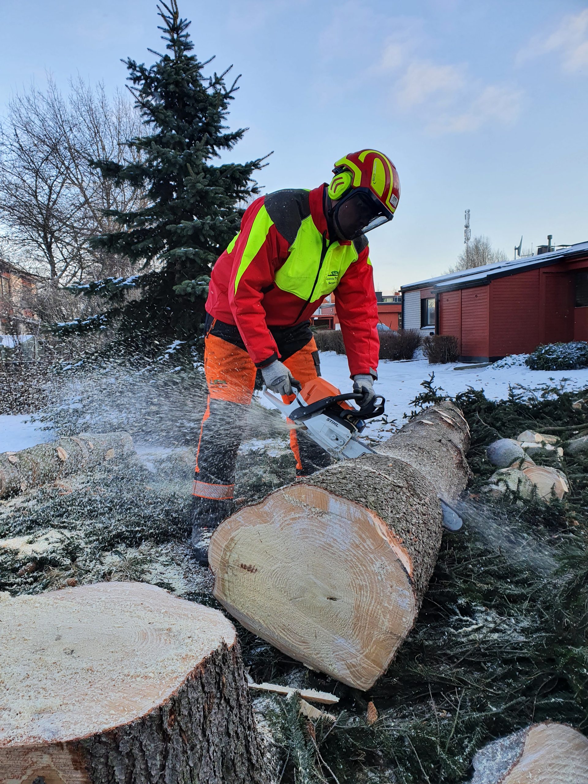 Yritys - Tapanila Timber Service